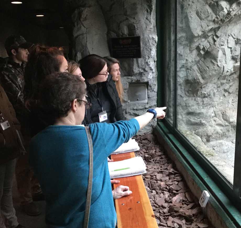 Newsletter of the Animal Behavior Society